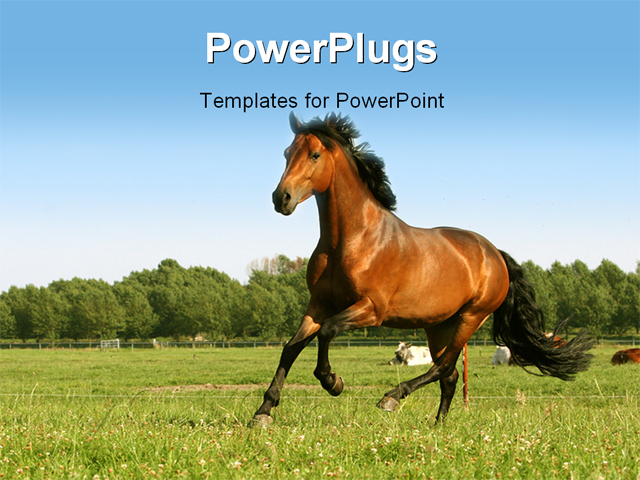 running chestnut horse PowerPoint Template Background of agricultural ...
